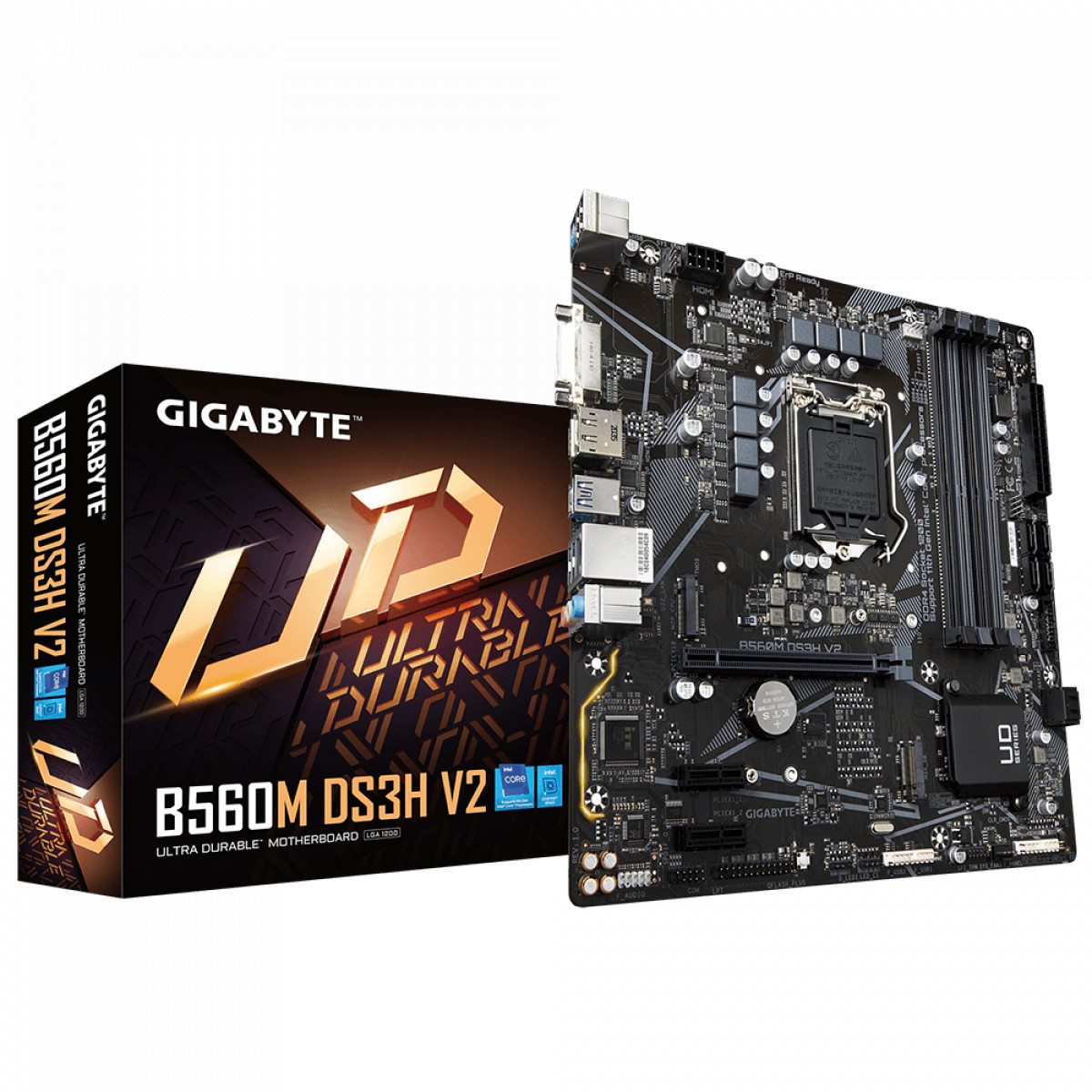 Placa Base Micro ATX Gigabyte B560M DS3H V2 - Versus Gamers